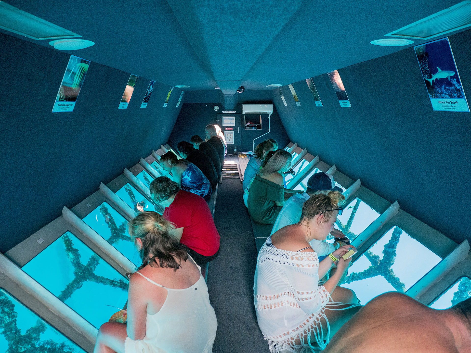 Semi-submarine - Activities - Cruise Whitsundays