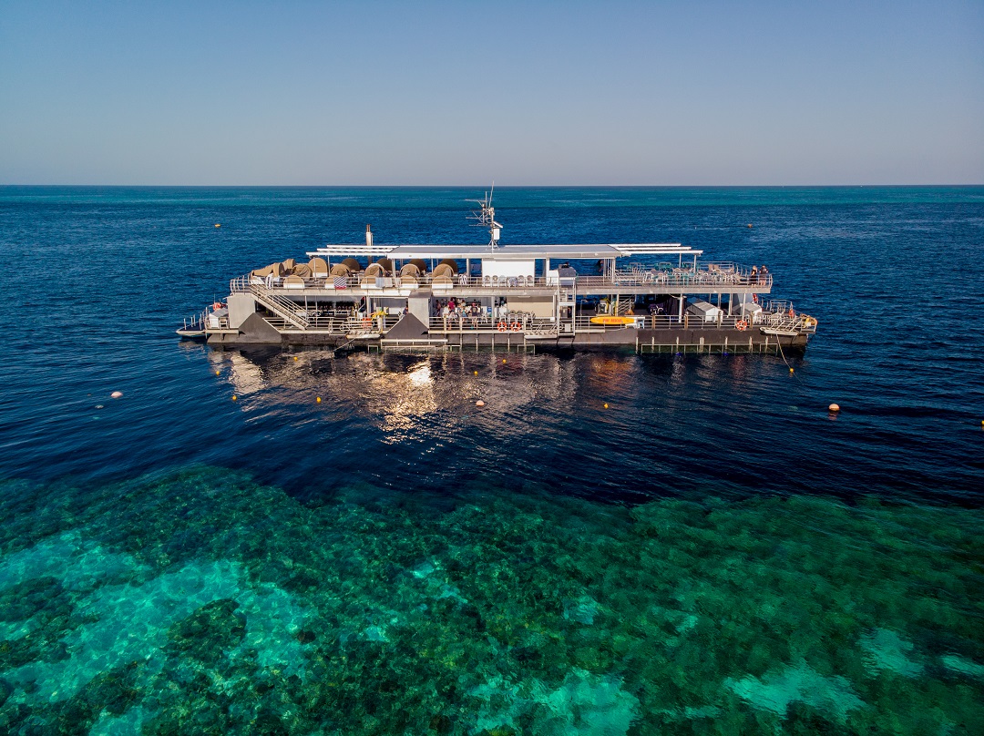 Great Barrier Reef Full Day Adventure - Cruise Whitsundays